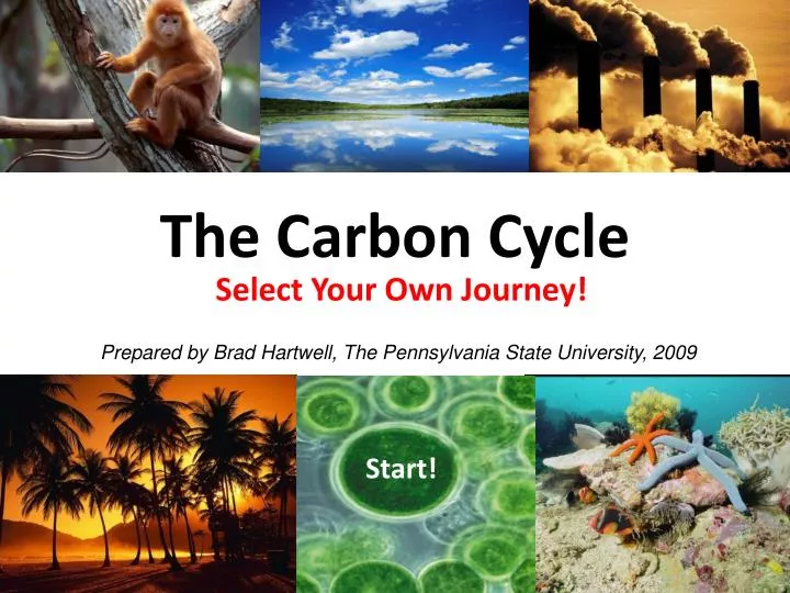 PPT - The Carbon Cycle PowerPoint Presentation, free download - ID:5432771