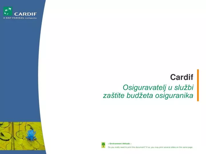 PPT - Cardif PowerPoint Presentation, free download - ID:5433716
