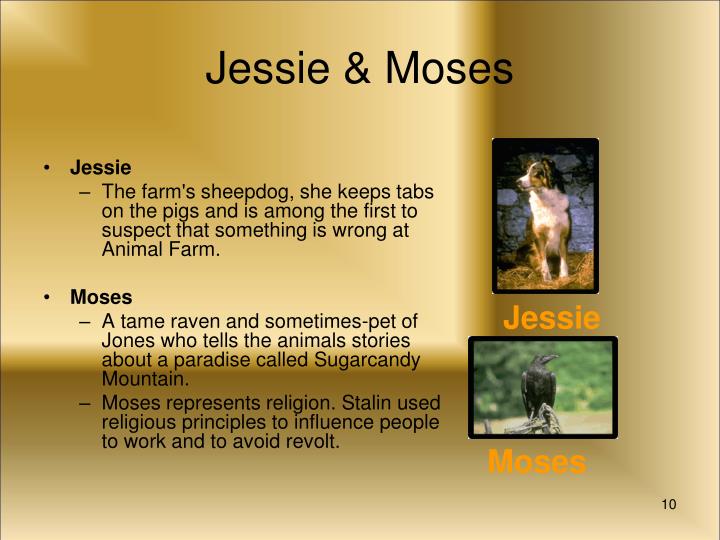 PPT - Animal Farm PowerPoint Presentation - ID:5435527