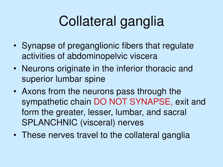 PPT - Autonomic Nervous System PowerPoint Presentation - ID:5435606