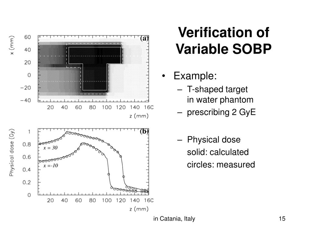 PPT - Treatment Planning for Broad-Beam 3D Irradiation Heavy-Ion ...