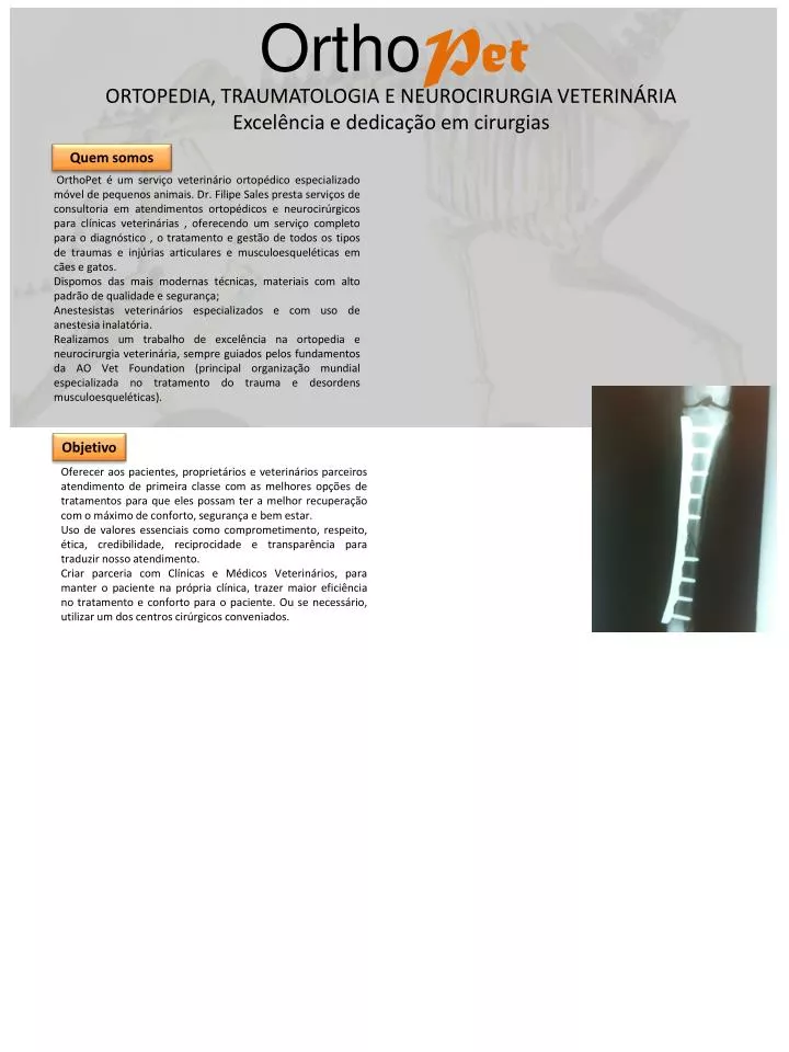 PPT - Ortho Pet PowerPoint Presentation, free download - ID:5437696