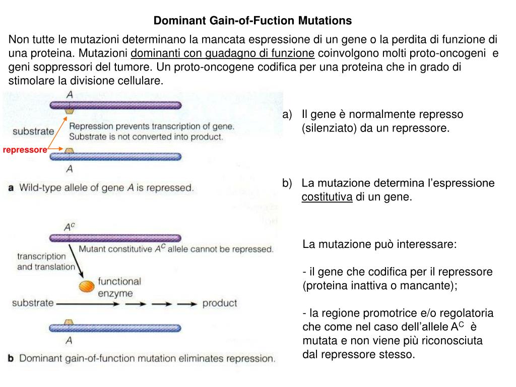 PPT - Estensione dell’analisi Mendeliana PowerPoint Presentation, free ...