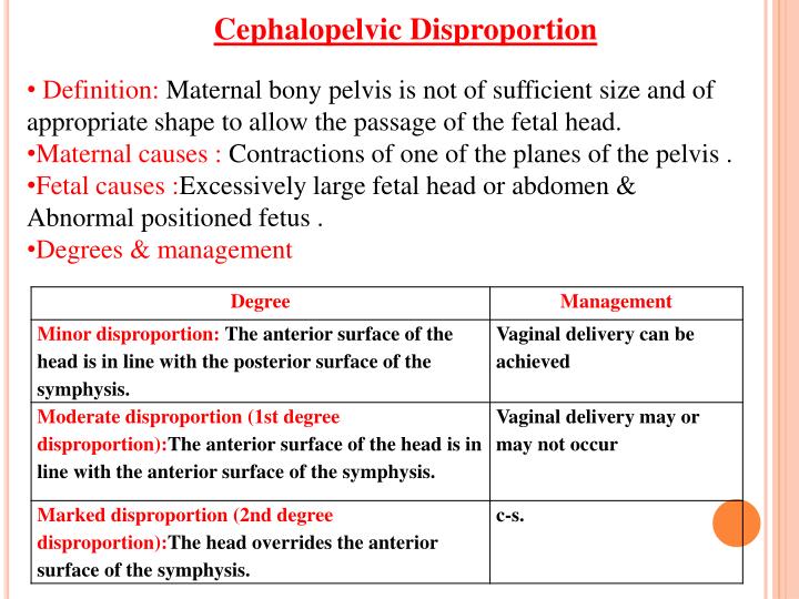 PPT - Dystocia & Obstructive Labor PowerPoint Presentation - ID:5439134