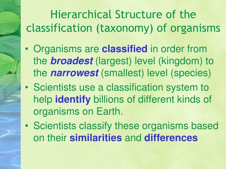 PPT - Structures, Processes, and Responses of Plants PowerPoint ...