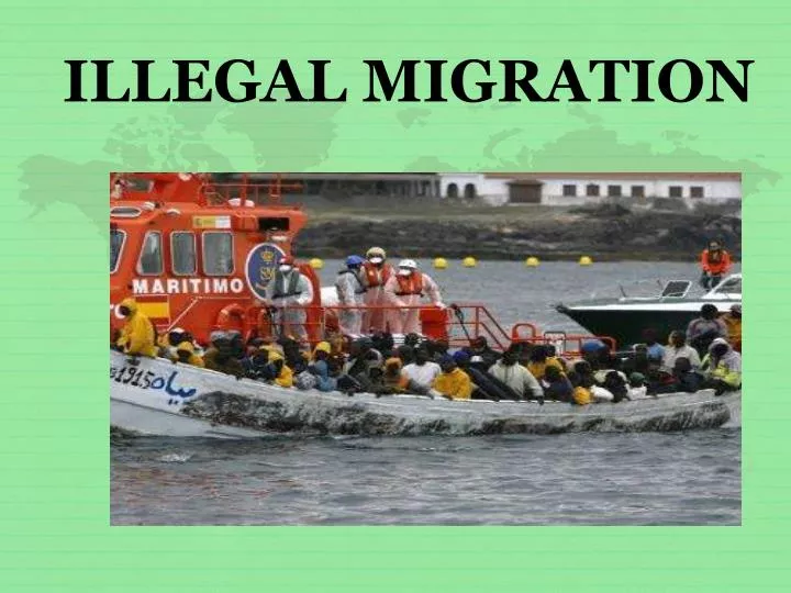 PPT - ILLEGAL MIGRATION PowerPoint Presentation, free download - ID:5441178