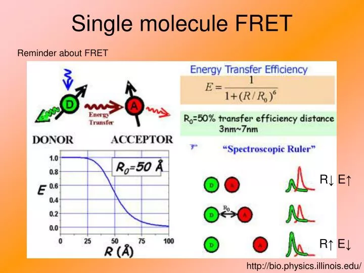 PPT - Single molecule FRET PowerPoint Presentation, free download - ID ...