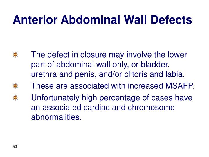 PPT - CONGENITAL FETAL ANOMALIES PowerPoint Presentation - ID:5443449