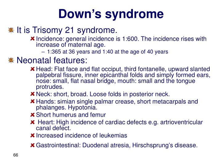 PPT - CONGENITAL FETAL ANOMALIES PowerPoint Presentation - ID:5443449