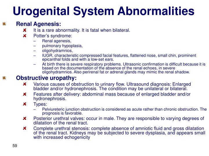 PPT - CONGENITAL FETAL ANOMALIES PowerPoint Presentation - ID:5443449