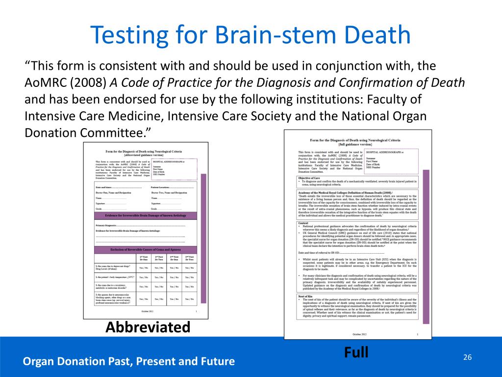 PPT Donation After Brain Stem Death DBD PowerPoint Presentation Free PPT Donation After Brain Stem Death DBD PowerPoint Presentation Free