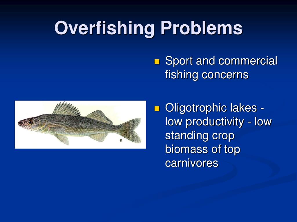 PPT - Great Lakes Fisheries Chapter 23 PowerPoint Presentation, free ...