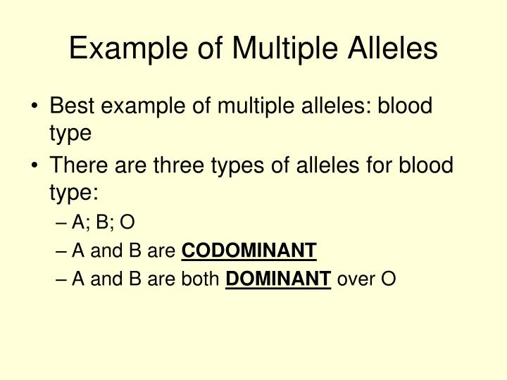 PPT - Pedigrees and Multiple Alleles PowerPoint Presentation - ID:5446478