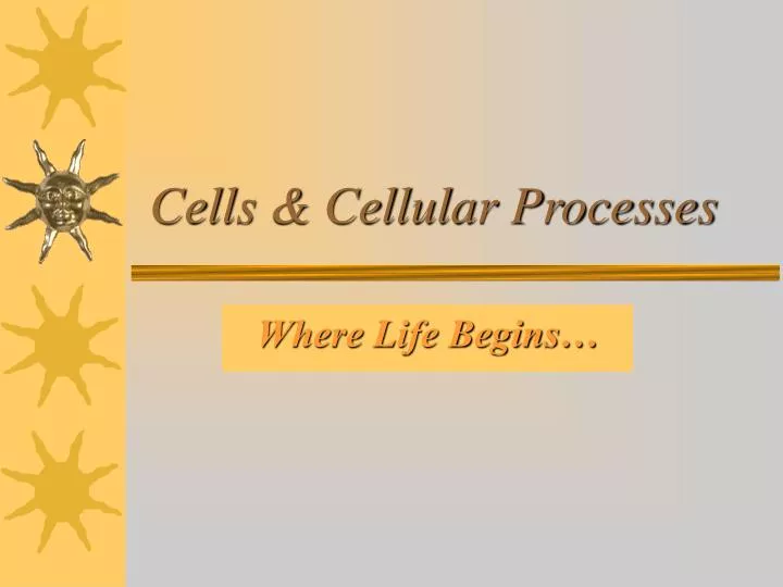 PPT - Cells & Cellular Processes PowerPoint Presentation, free download ...
