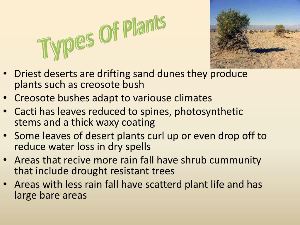 PPT - By: Erica Berardi , Frank Orfe , Tornike Tusuriashvili , & David ...