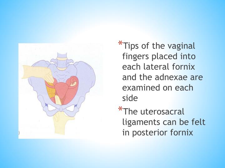 PPT - Pelvic examination PowerPoint Presentation - ID:5450733