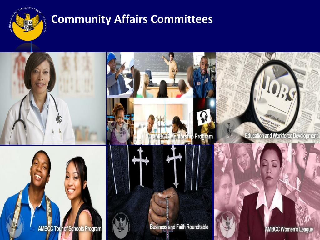 PPT - Primary Councils Business, Community, and Government PowerPoint ...
