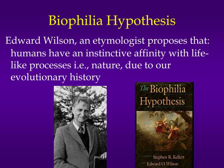 PPT - A Psycho-Evolutionary Theory of Outdoor Education PowerPoint ...