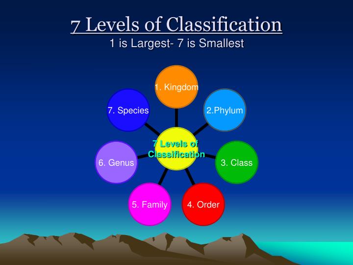 PPT - Biological Classification PowerPoint Presentation - ID:5453115