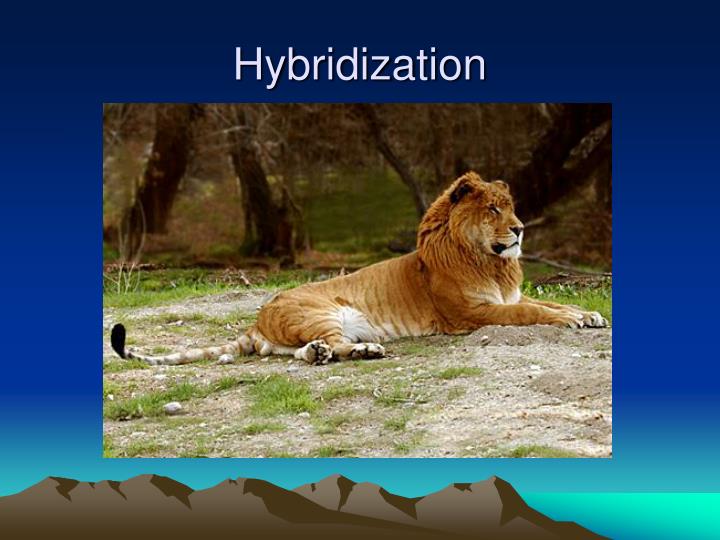 PPT - Biological Classification PowerPoint Presentation - ID:5453115