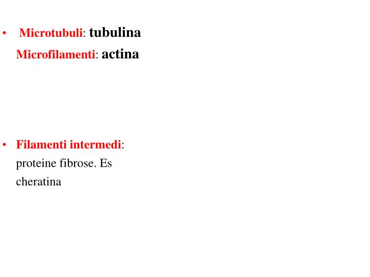 PPT - IL CITOSCHELETRO PowerPoint Presentation - ID:5453880