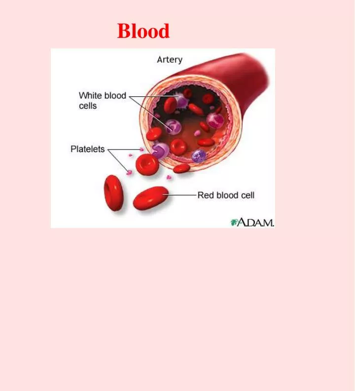 PPT - Blood PowerPoint Presentation, free download - ID:5454656