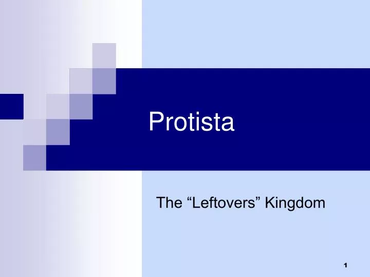 PPT - Protista PowerPoint Presentation, free download - ID:5454961