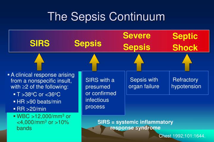 PPT - Sepsis Syndrome PowerPoint Presentation - ID:5454970