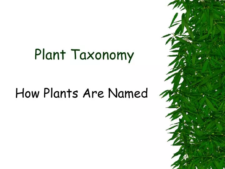 PPT - Plant Taxonomy PowerPoint Presentation, free download - ID:5455073
