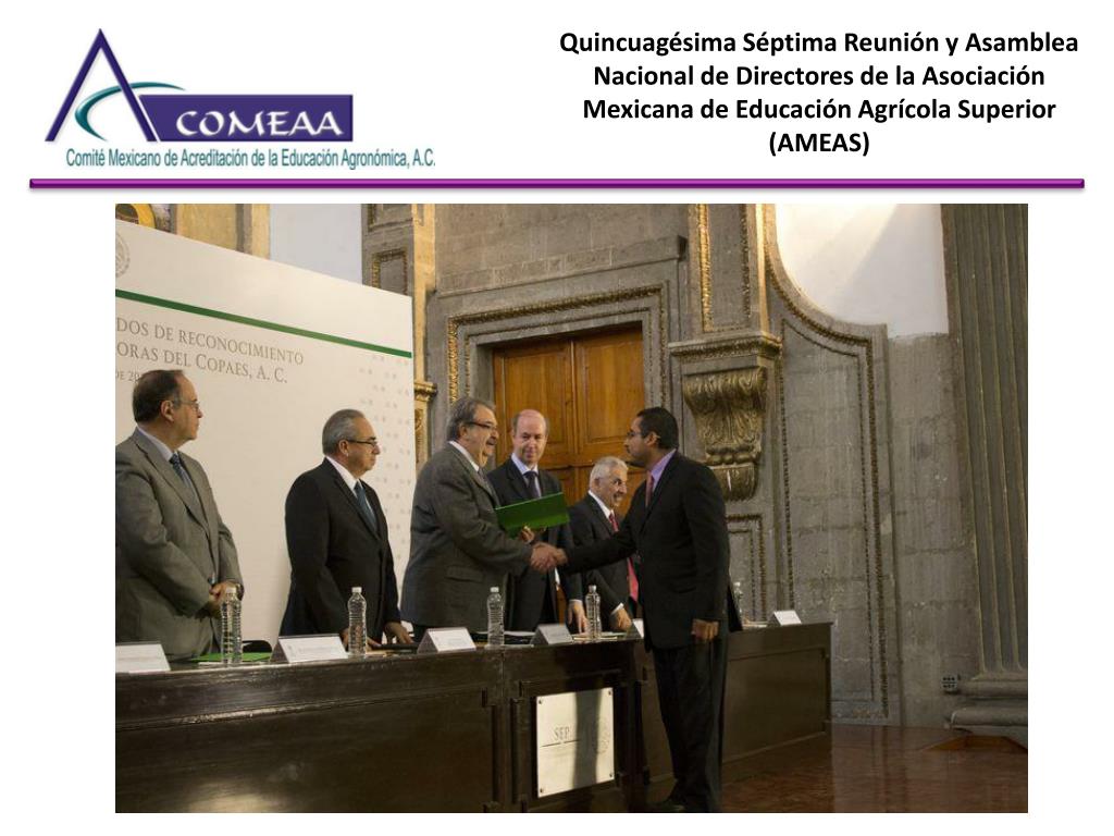 PPT - Sistema Nacional de Evaluación, Acreditación y Certificación ...