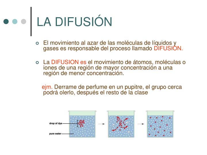 PPT - EL TRANSPORTE CELULAR PowerPoint Presentation - ID:5457011