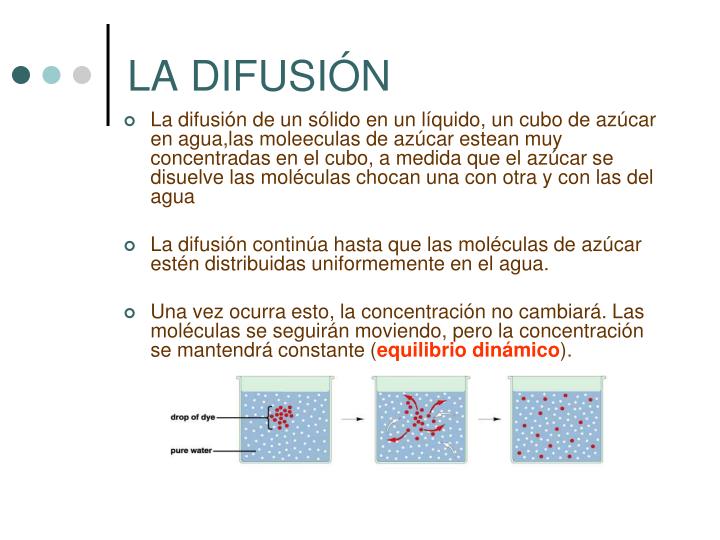 PPT - EL TRANSPORTE CELULAR PowerPoint Presentation - ID:5457011