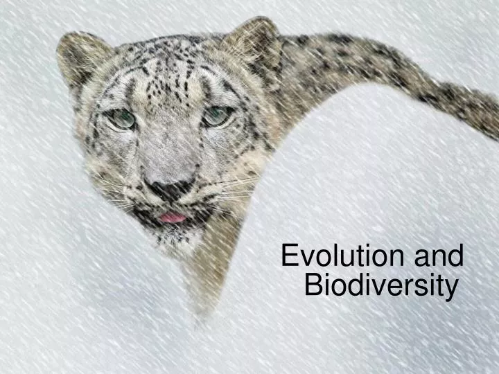 Ppt Evolution And Biodiversity Powerpoint Presentation Free Download