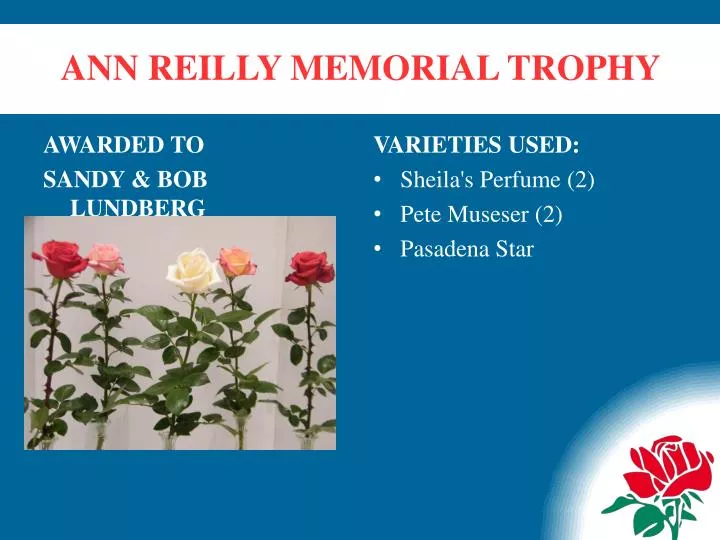 PPT - ANN REILLY MEMORIAL TROPHY PowerPoint Presentation, free download ...