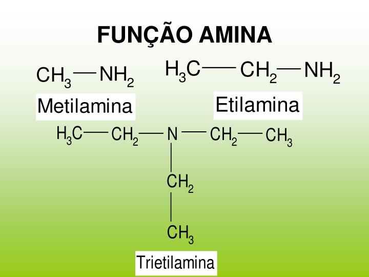 PPT - AMINAS, AMIDAS, NITRILAS E ISONITRILAS PowerPoint Presentation ...