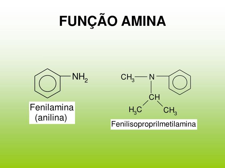 PPT - AMINAS, AMIDAS, NITRILAS E ISONITRILAS PowerPoint Presentation ...