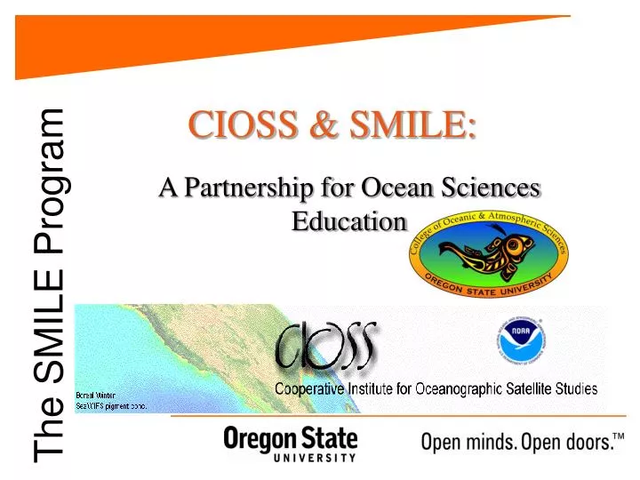 PPT - CIOSS & SMILE: PowerPoint Presentation, free download - ID:5458418