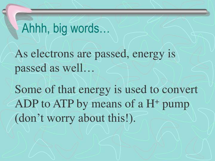 PPT - 6-3 Aerobic Respiration PowerPoint Presentation - ID:5459104