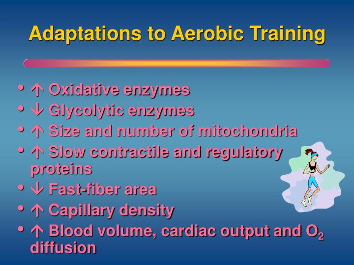 PPT - More Basics in Exercise Physiology PowerPoint Presentation - ID ...