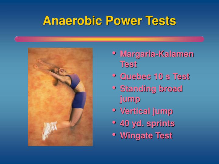 PPT - More Basics in Exercise Physiology PowerPoint Presentation - ID ...