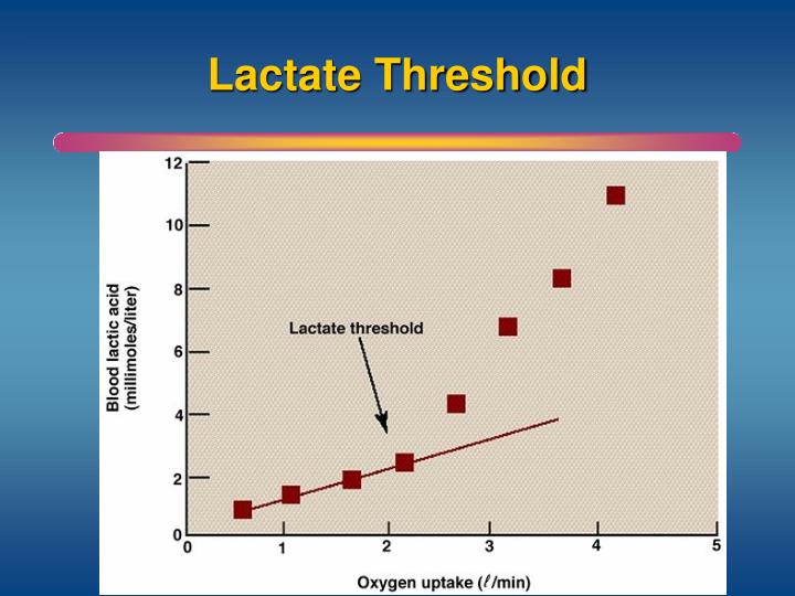 PPT - More Basics in Exercise Physiology PowerPoint Presentation - ID ...