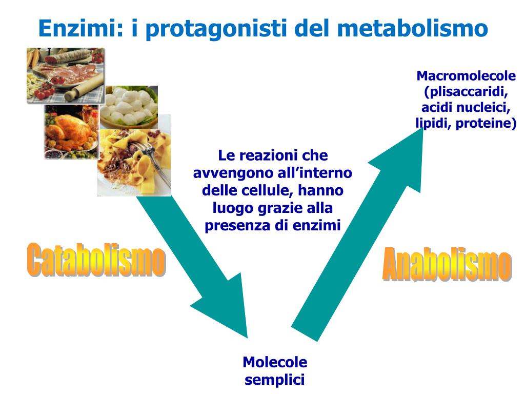 Ppt Enzimi Powerpoint Presentation Free Download Id 5459294
