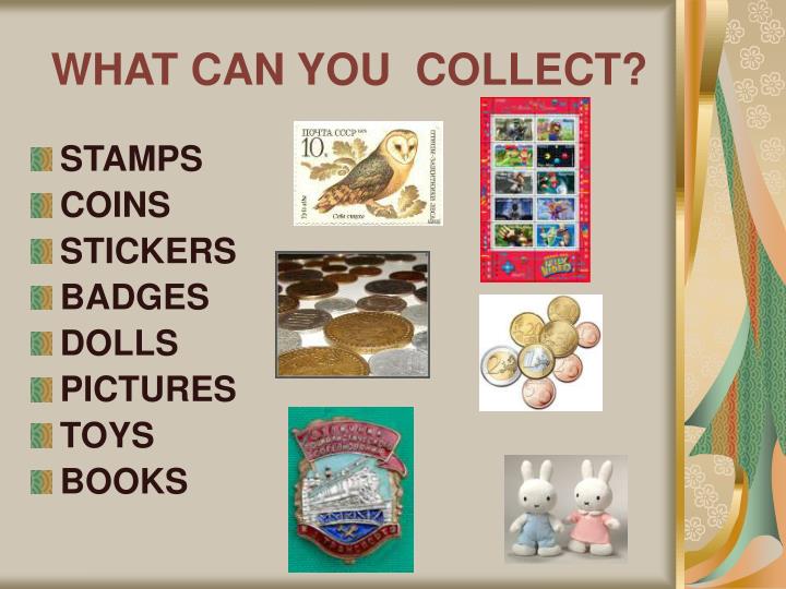 PPT - WHAT IS YOUR HOBBY? PowerPoint Presentation - ID:5459445