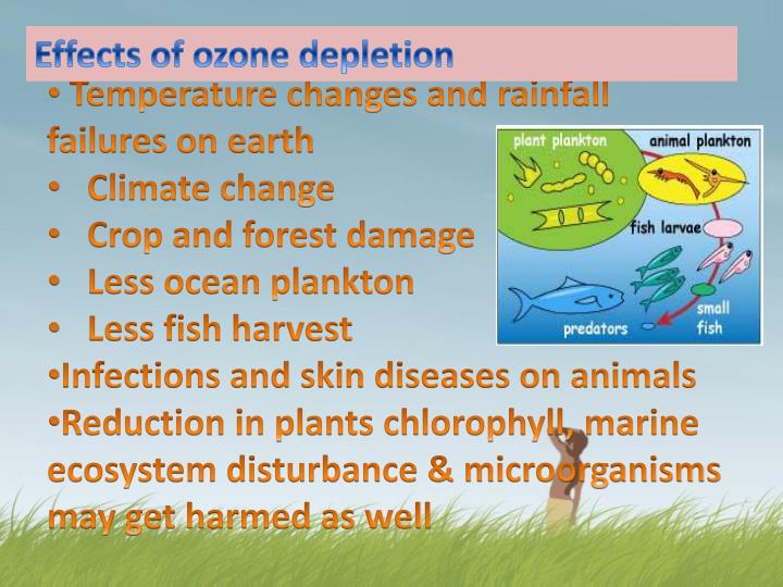 PPT - Ozone Layer Depletion PowerPoint Presentation - ID:5461129