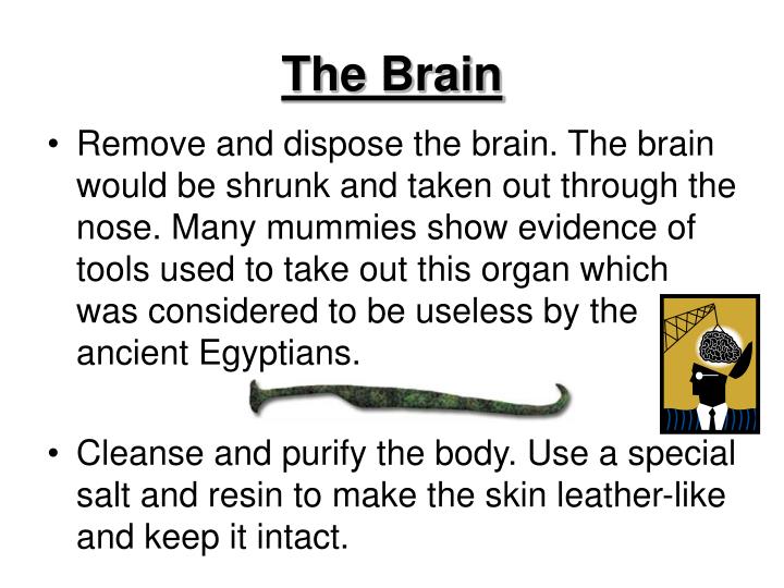 PPT - Egyptian Mummification PowerPoint Presentation - ID:5461804