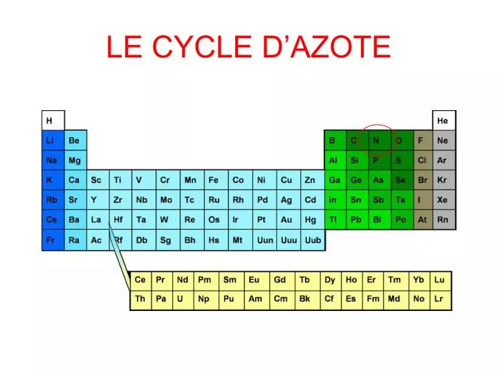 PPT - LE CYCLE D’AZOTE PowerPoint Presentation, free download - ID:5462082