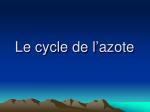 PPT - Les cycles biogéochimiques PowerPoint Presentation - ID:5462290