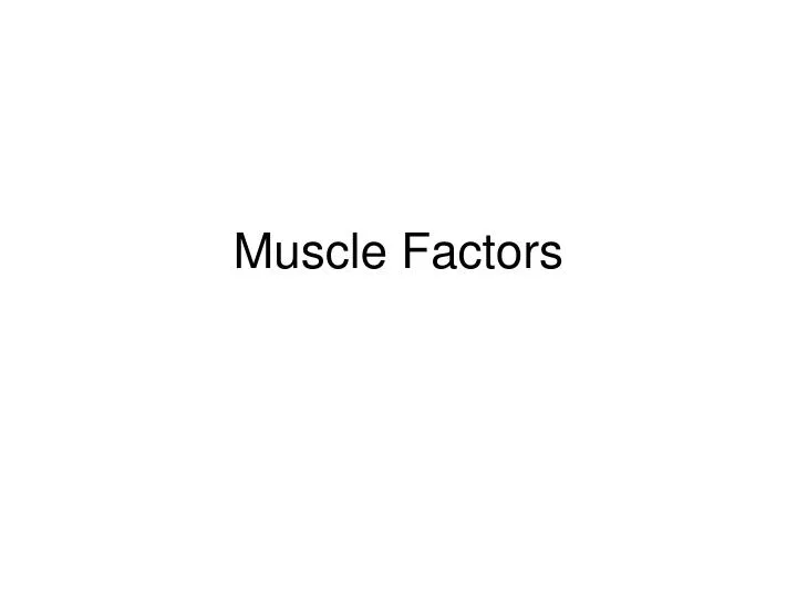 PPT - Muscle Factors PowerPoint Presentation, free download - ID:5463069