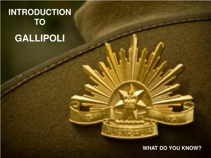 PPT - INTRODUCTION TO GALLIPOLI PowerPoint Presentation, free download - ID:5465674