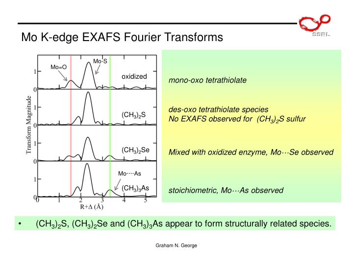 PPT - X-ray Absorption Spectroscopy of Molybdenum Enzymes PowerPoint ...